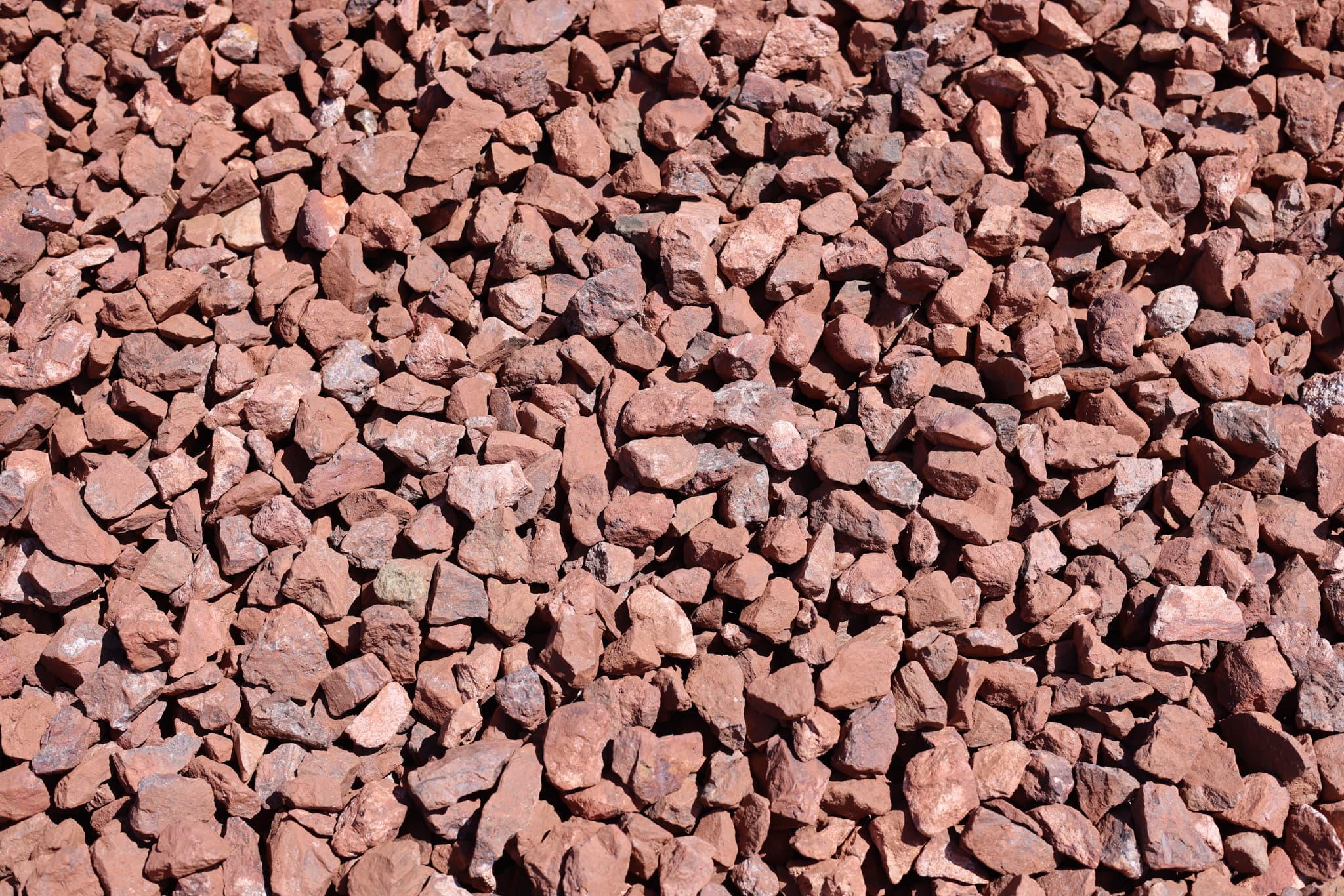 Jesse Red – West Valley Rock