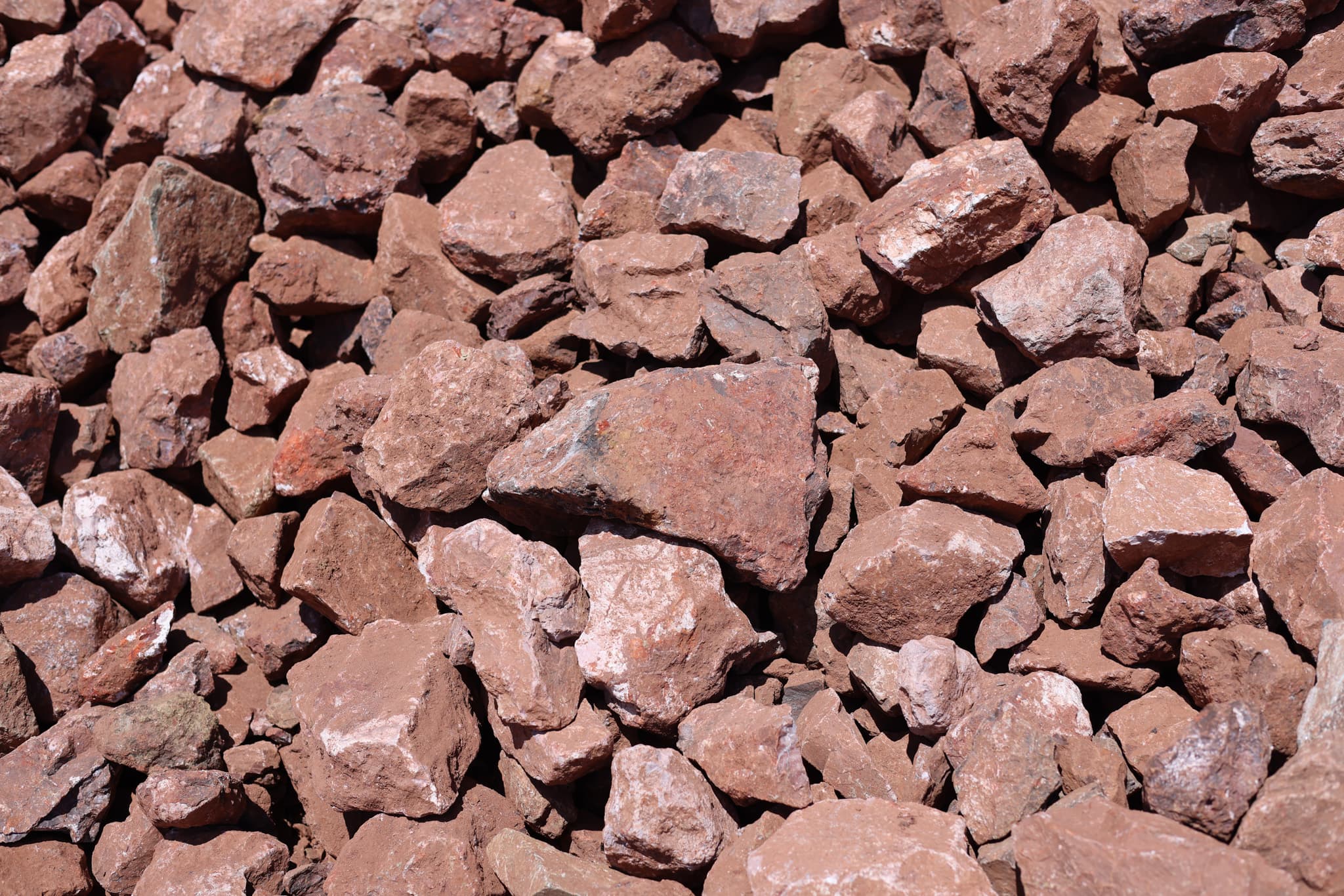 Jesse Red – West Valley Rock