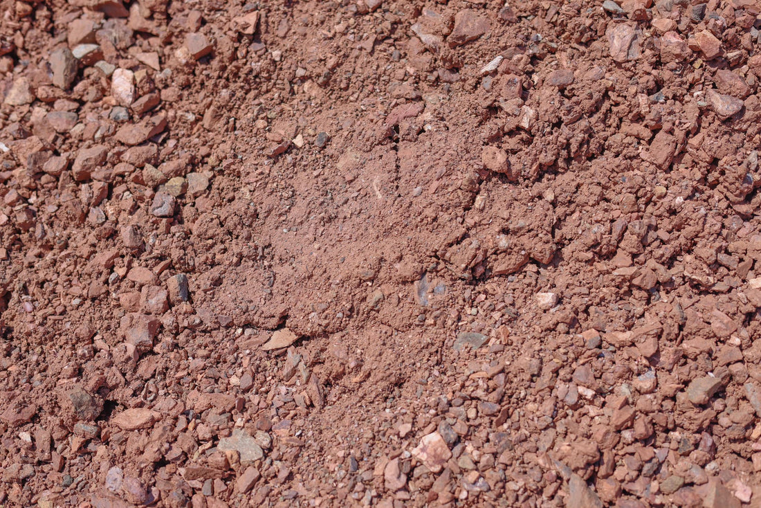 Jesse Red – West Valley Rock