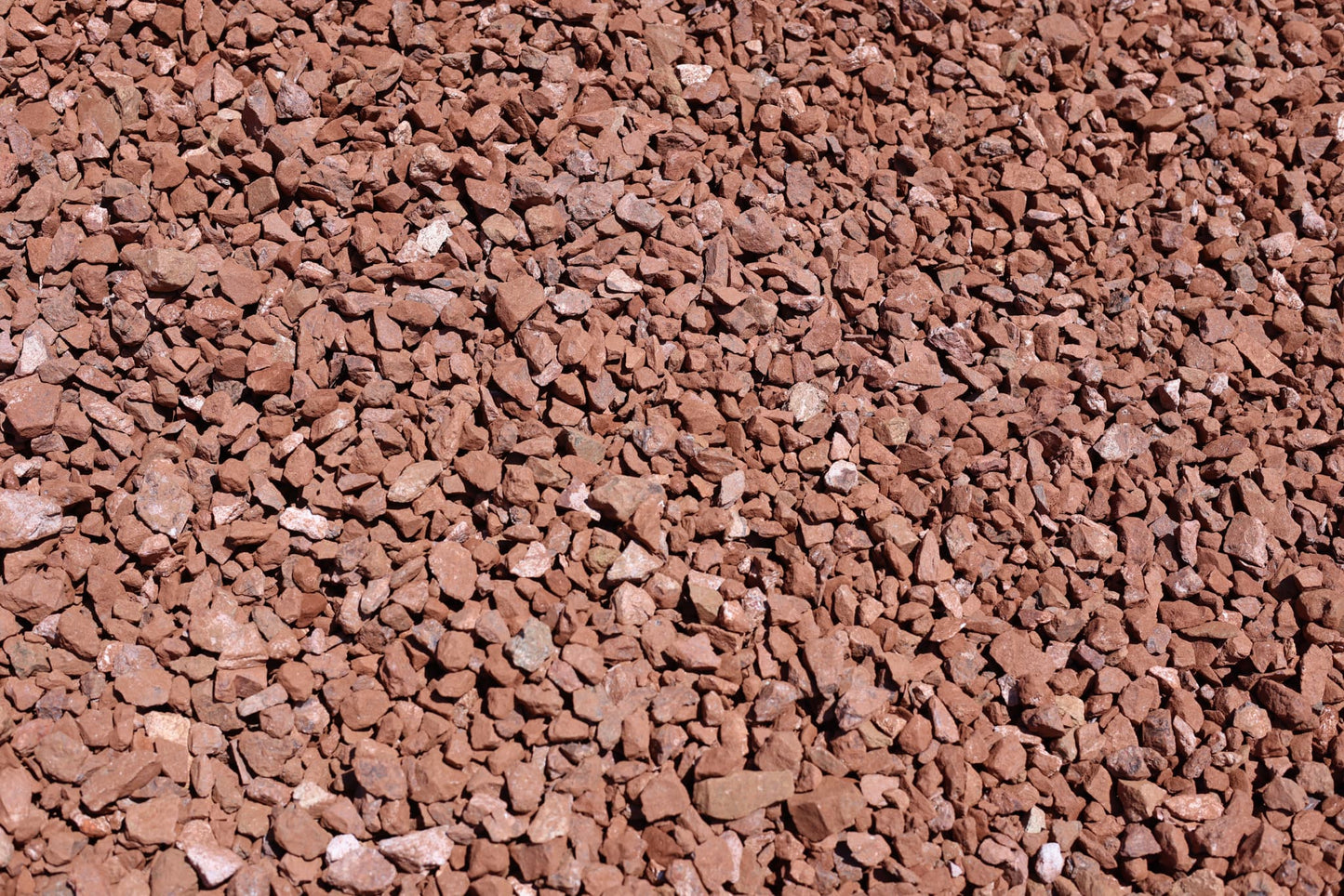 Jesse Red – West Valley Rock