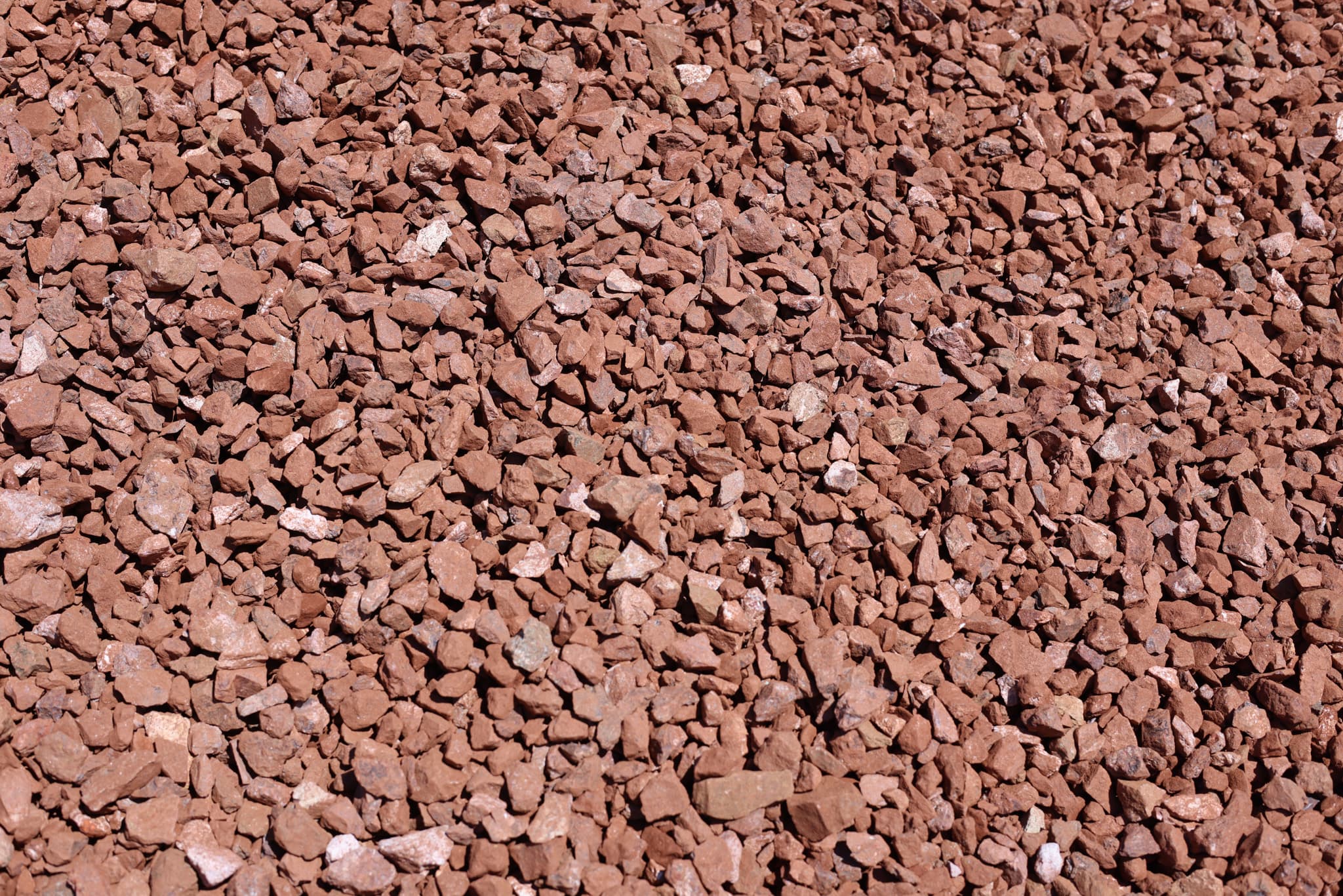 Jesse Red – West Valley Rock